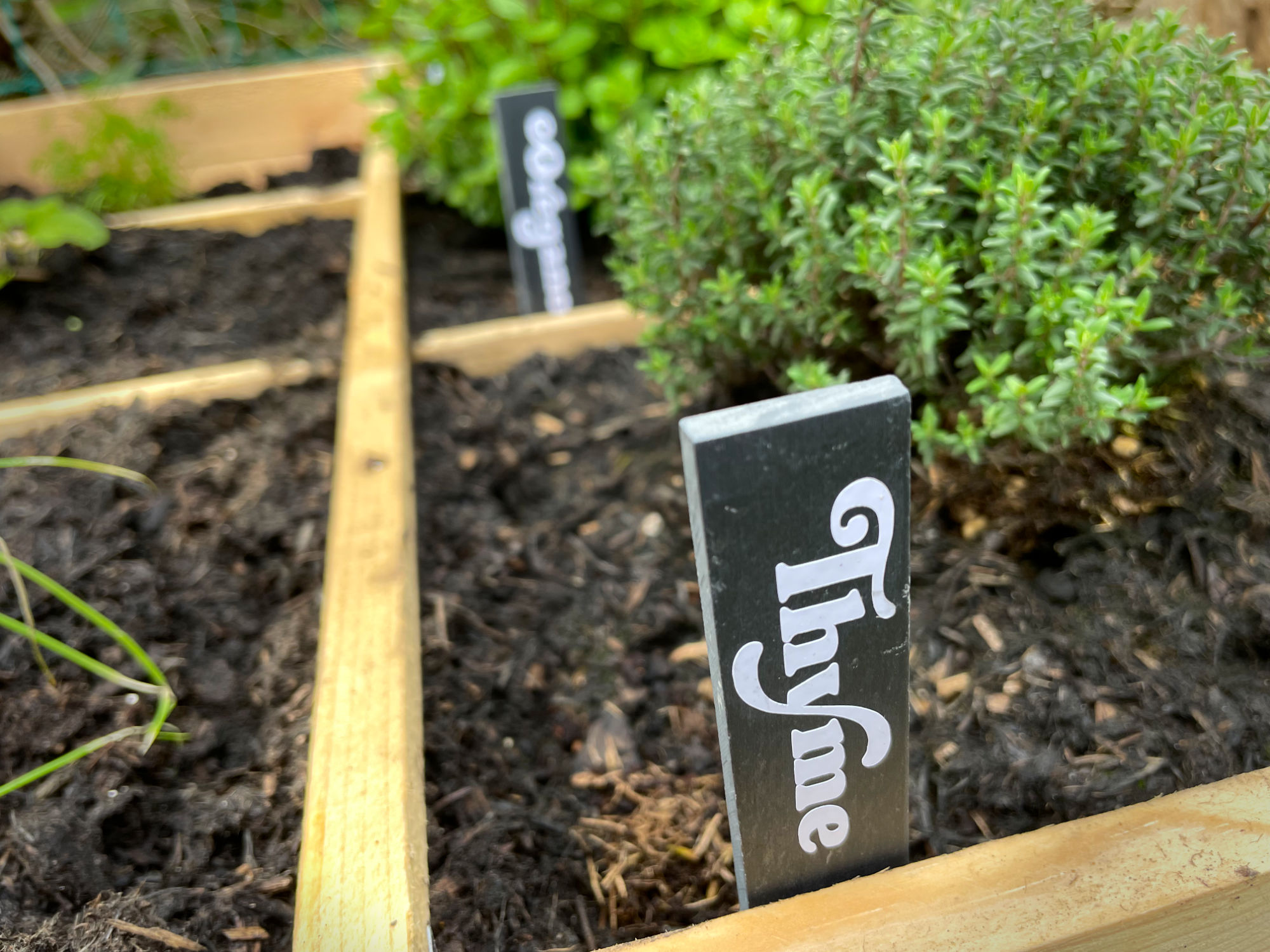 Slate Plant Labels - How To Make Your Own