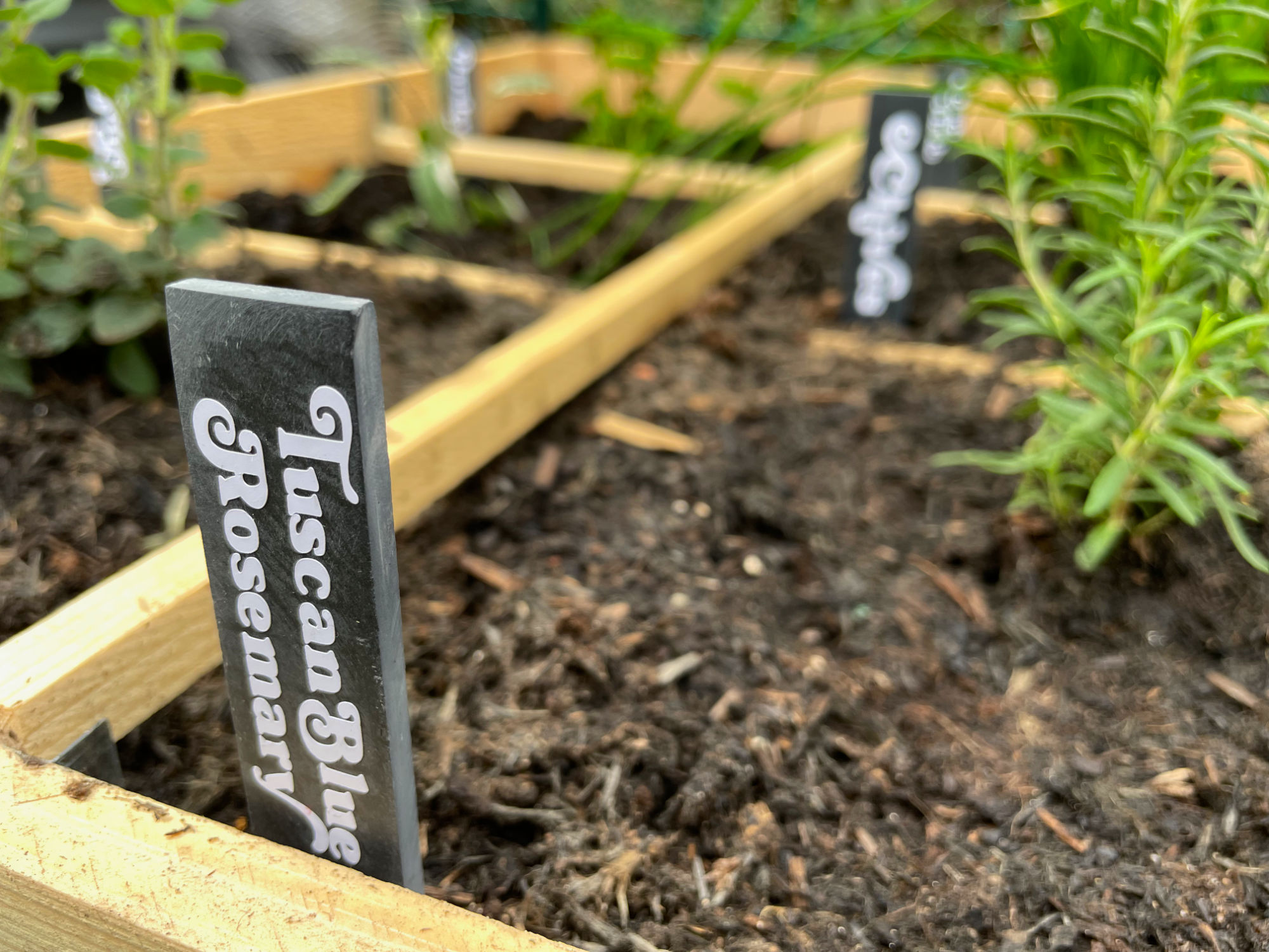 Slate Plant Labels - How To Make Your Own